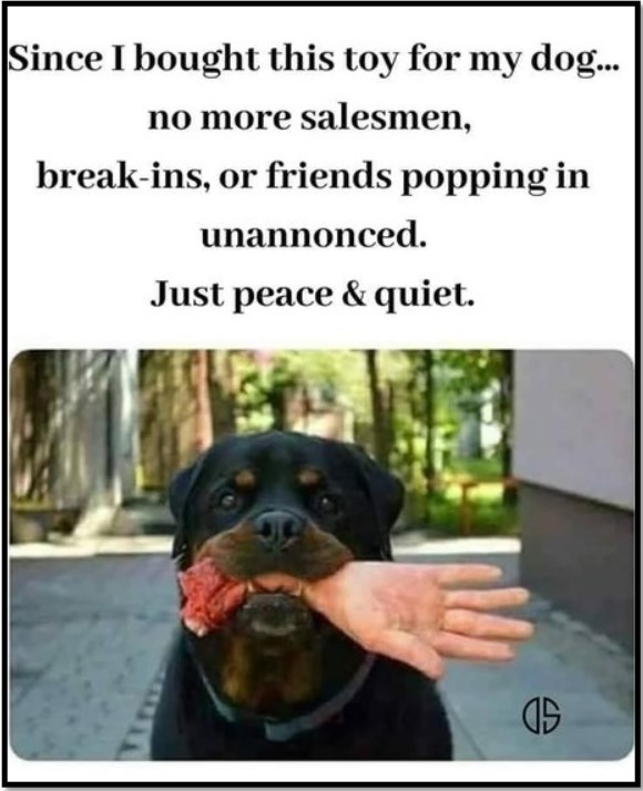 A little humor to brighten your day…Part 3 – Tolley's Topics
