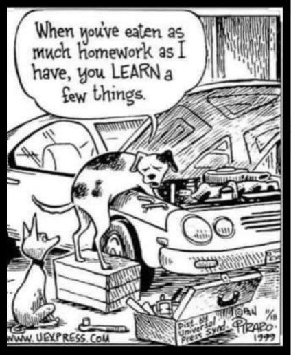 MUD MEMES…23-018 – Tolley's Topics