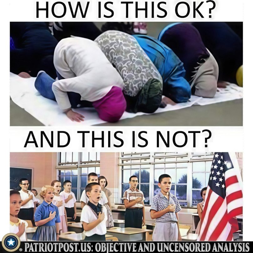 PATRIOT POST MEMES – Tolley's Topics
